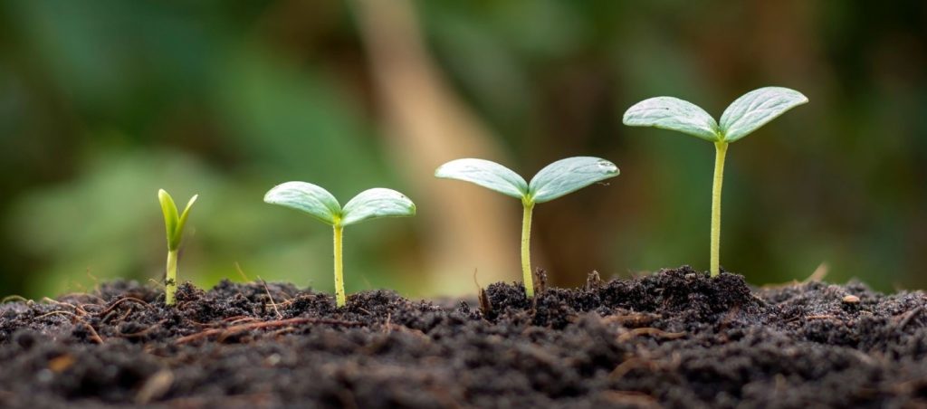 Universidad colombiana tendrá programa de Agroecología - Biologicals Latam